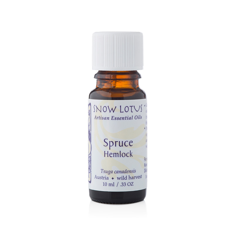 Spruce, Hemlock (10 mL) – Prime Natural Foods