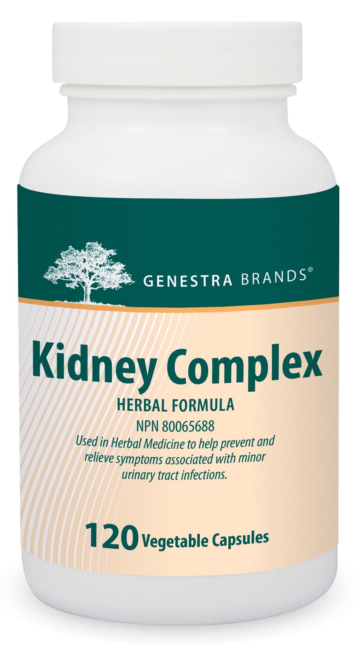 Kidney Complex – Prime Natural Foods